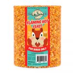 Flaming Hot Feast Large Cylinder