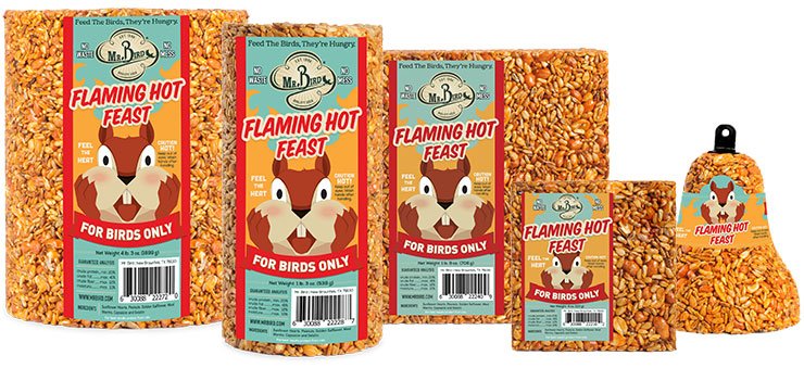 Bird Feeding Archives - Mr. Bird