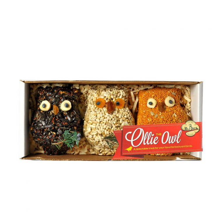 Ollie the Owl – 3 Pack – Mr. Bird