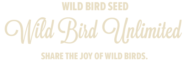 WBU Archives - Mr. Bird