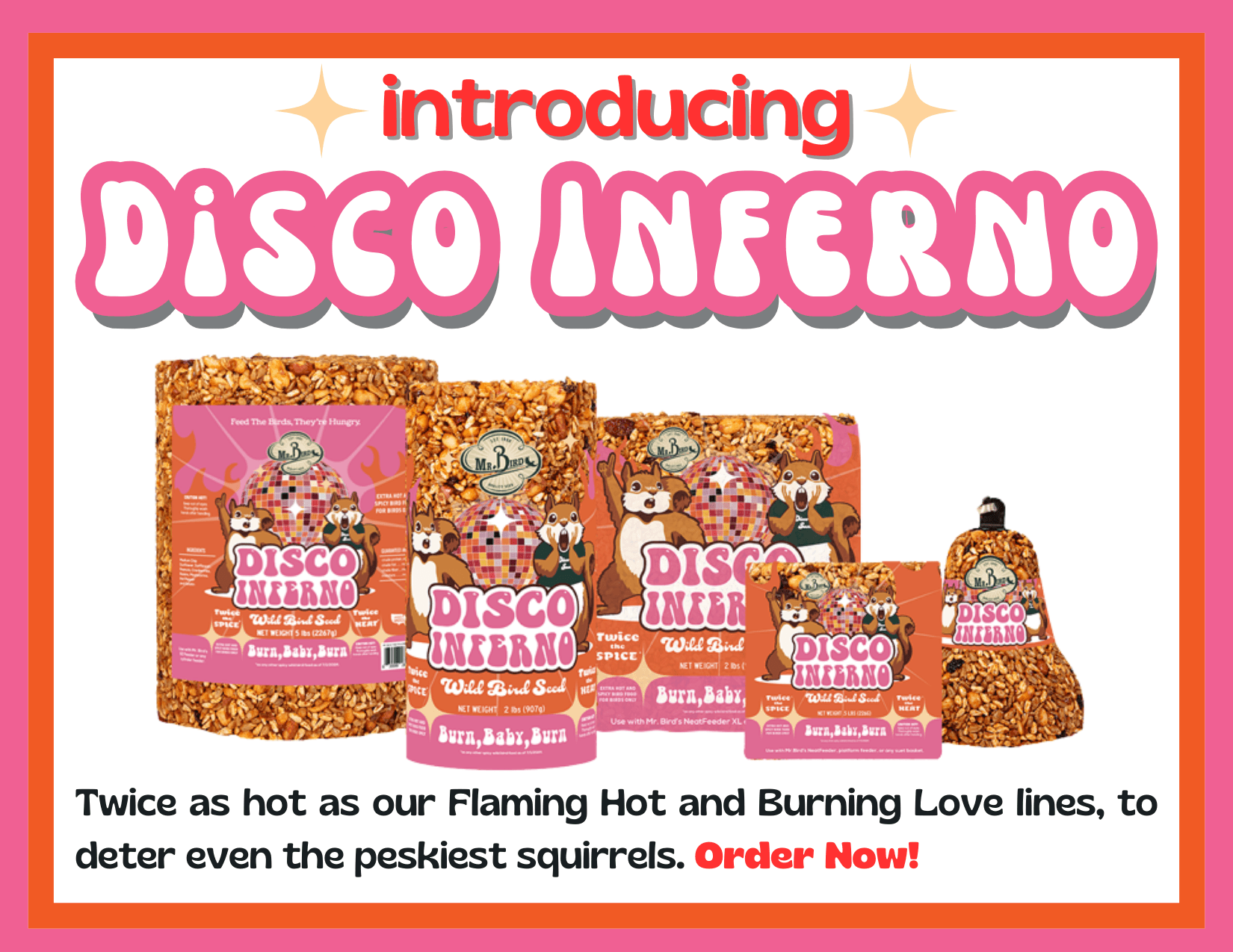 Burn Baby Burn! Introducing Disco Inferno - Mr. Bird